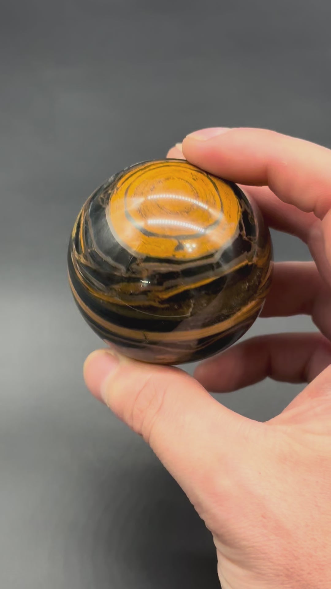 Tigers Iron Sphere (812W04) – Next World Exotics
